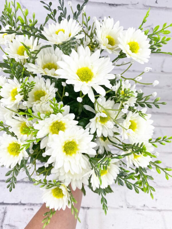 White Mini Daisy Bush - Kelea's Florals