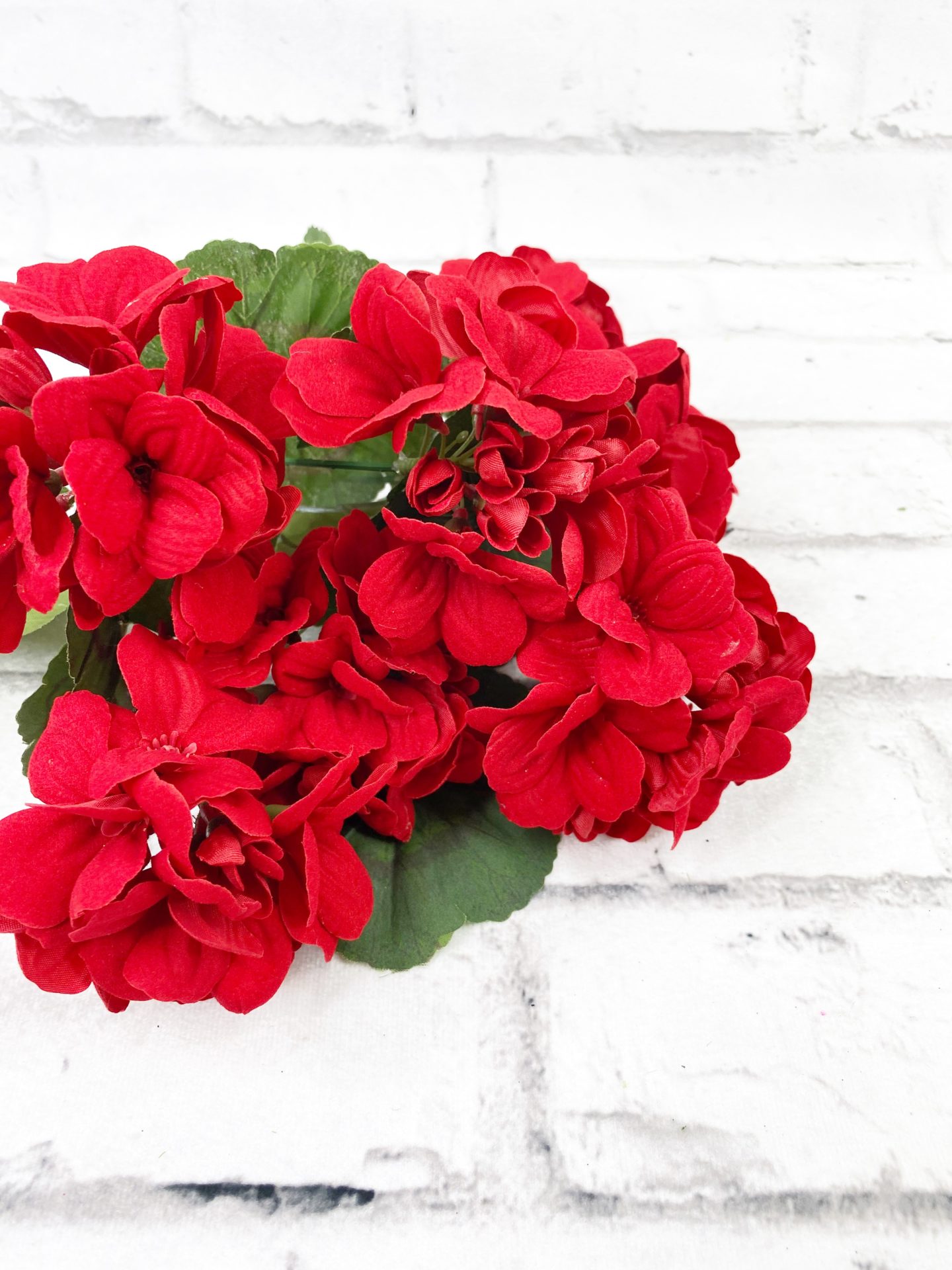 Geranium Bush - Kelea's Florals