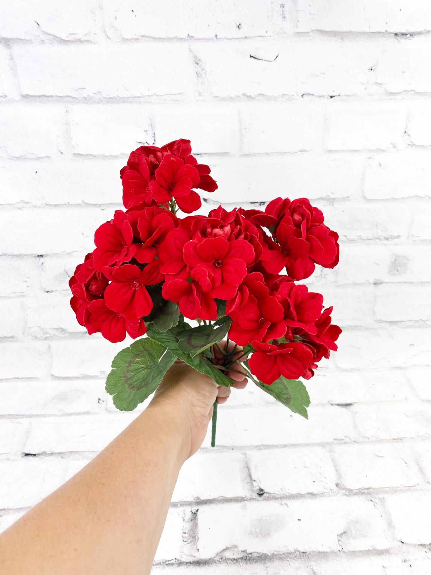 Geranium Bush - Kelea's Florals