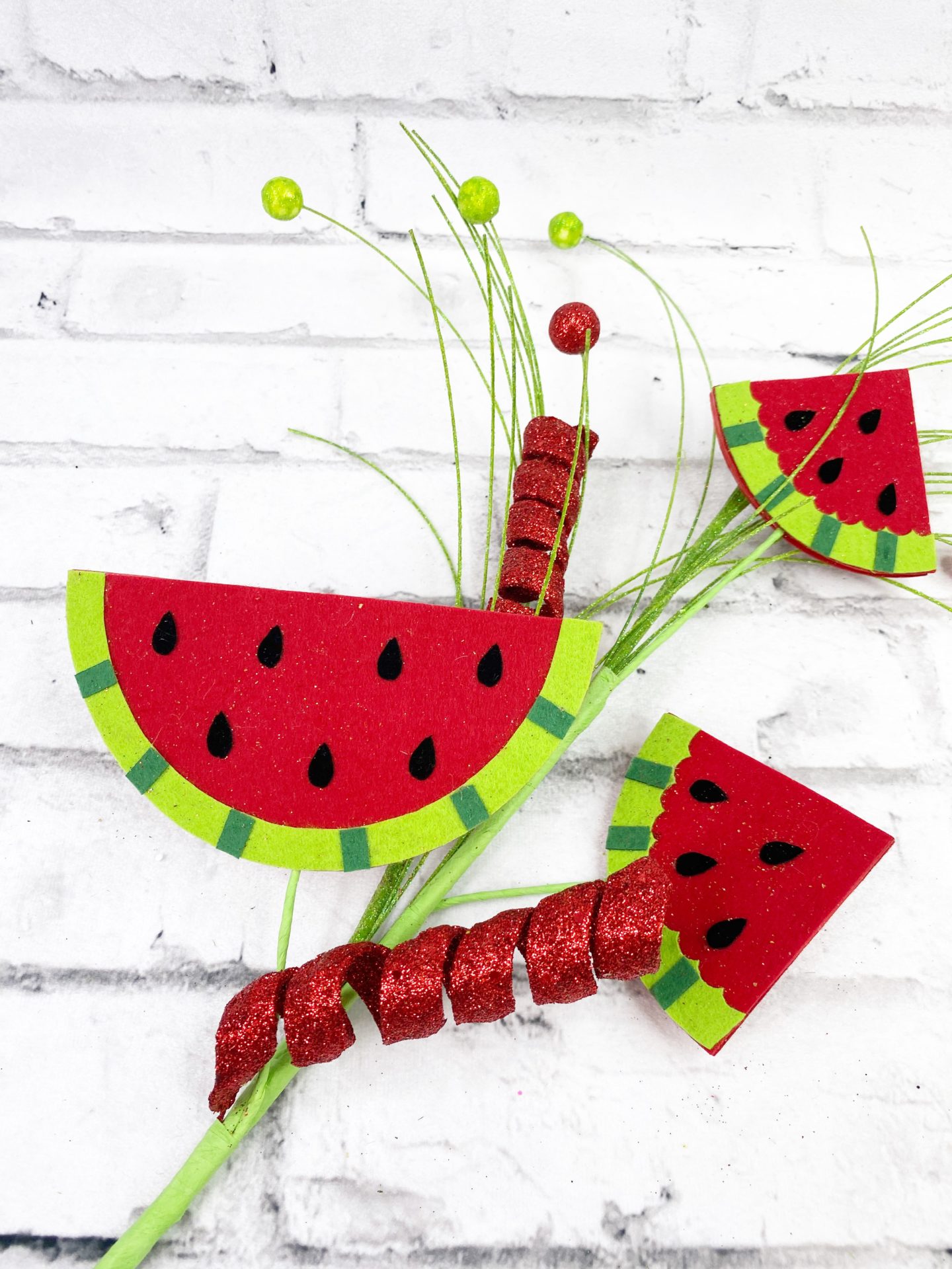 Watermelon Stem - Kelea's Florals