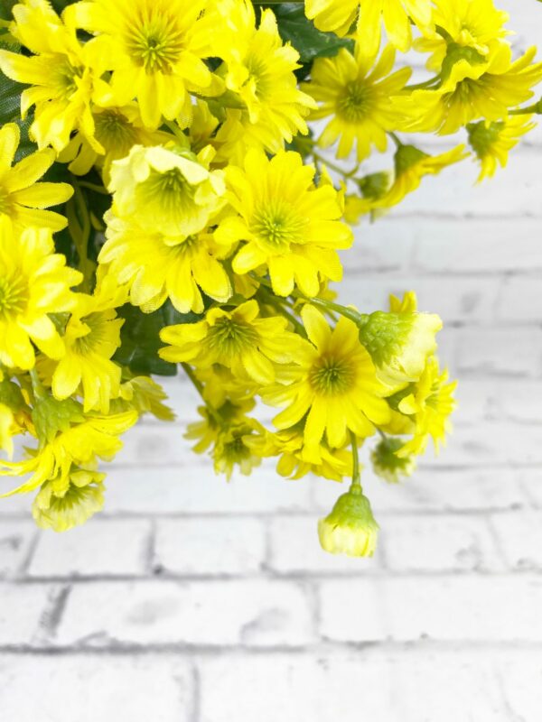 Yellow Mini Daisy Bush - Kelea's Florals