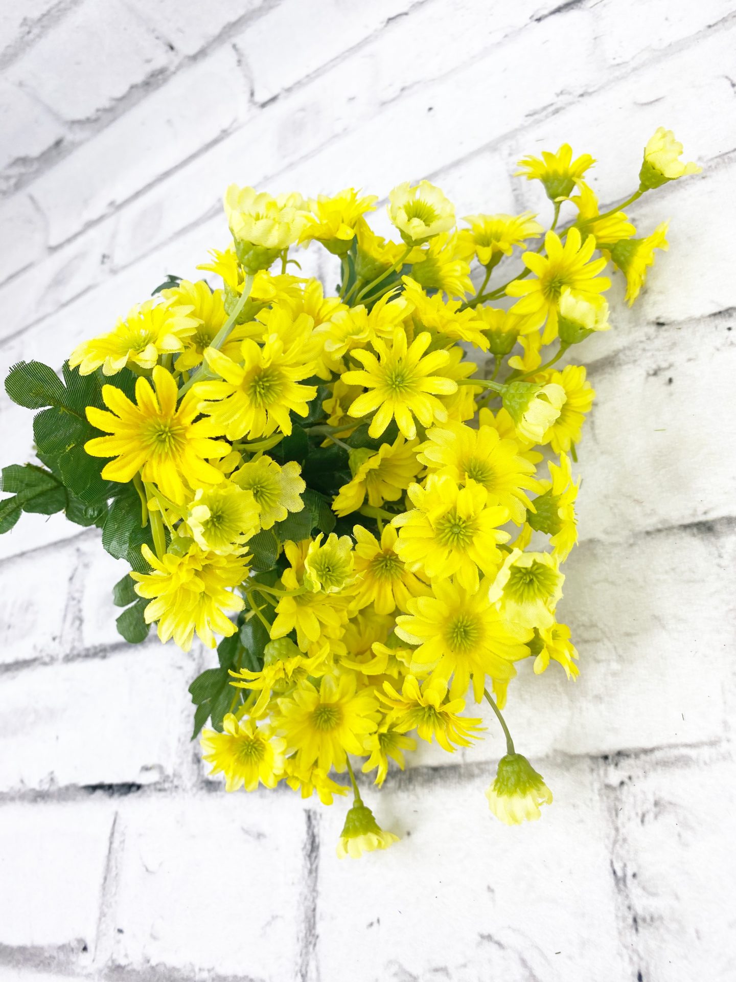 Yellow Mini Daisy Bush - Kelea's Florals
