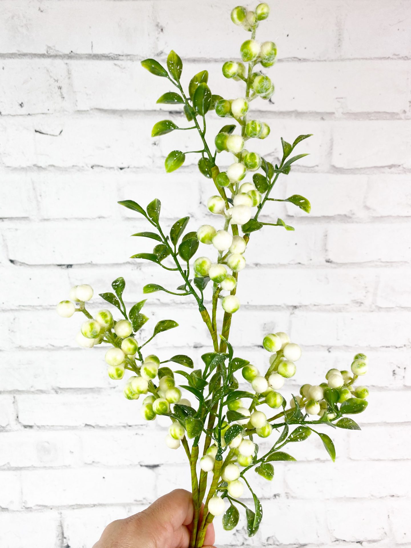 Green and Cream Berry Stem - Kelea's Florals