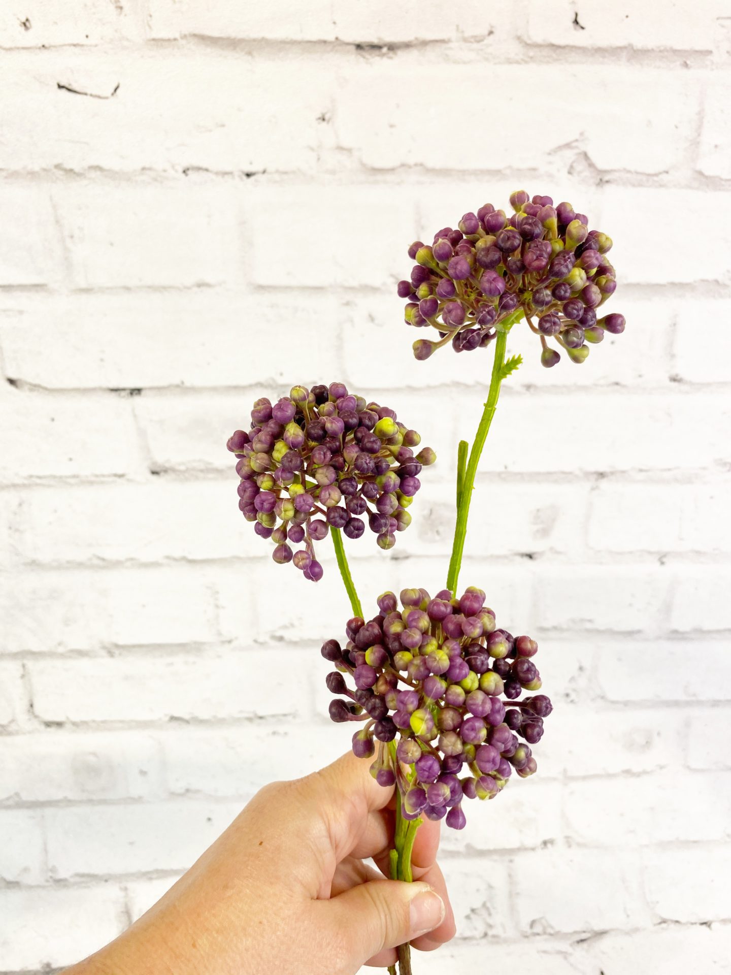 Purple Mini Allium Stem - Kelea's Florals