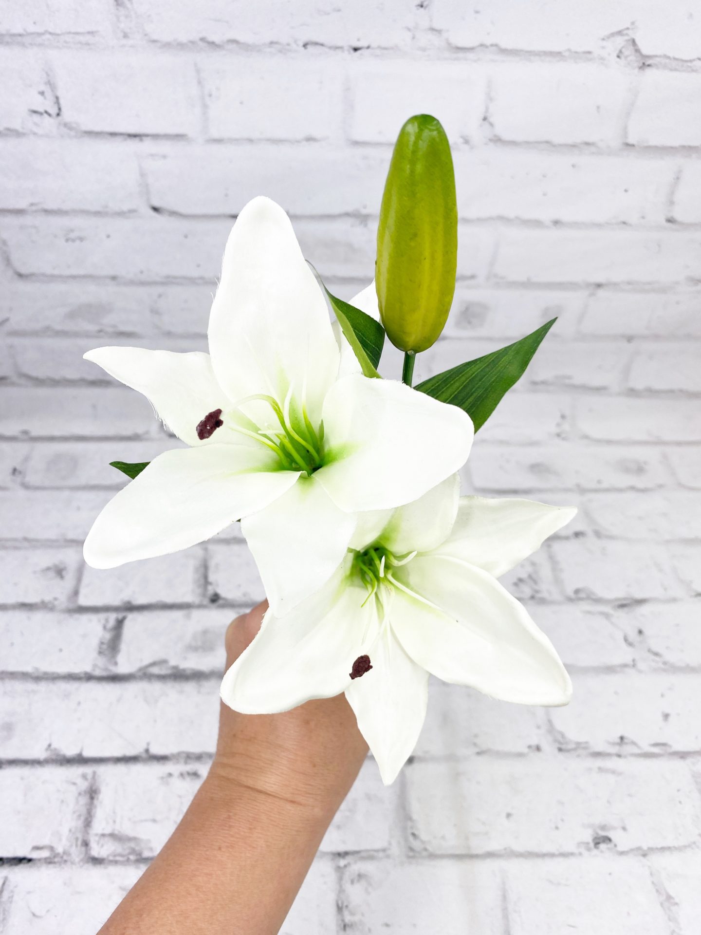 Off White Lily Stem - Kelea's Florals