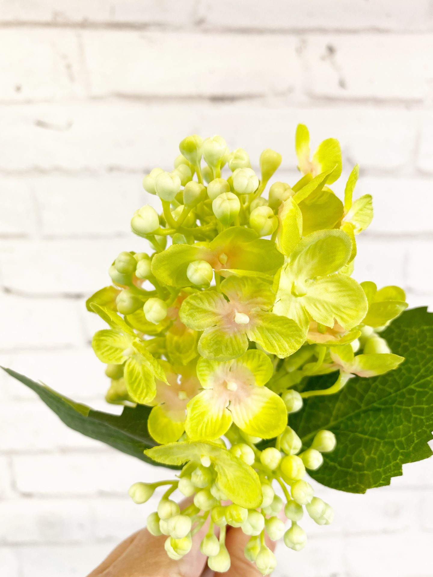 Green Budding Hydrangea - Kelea's Florals
