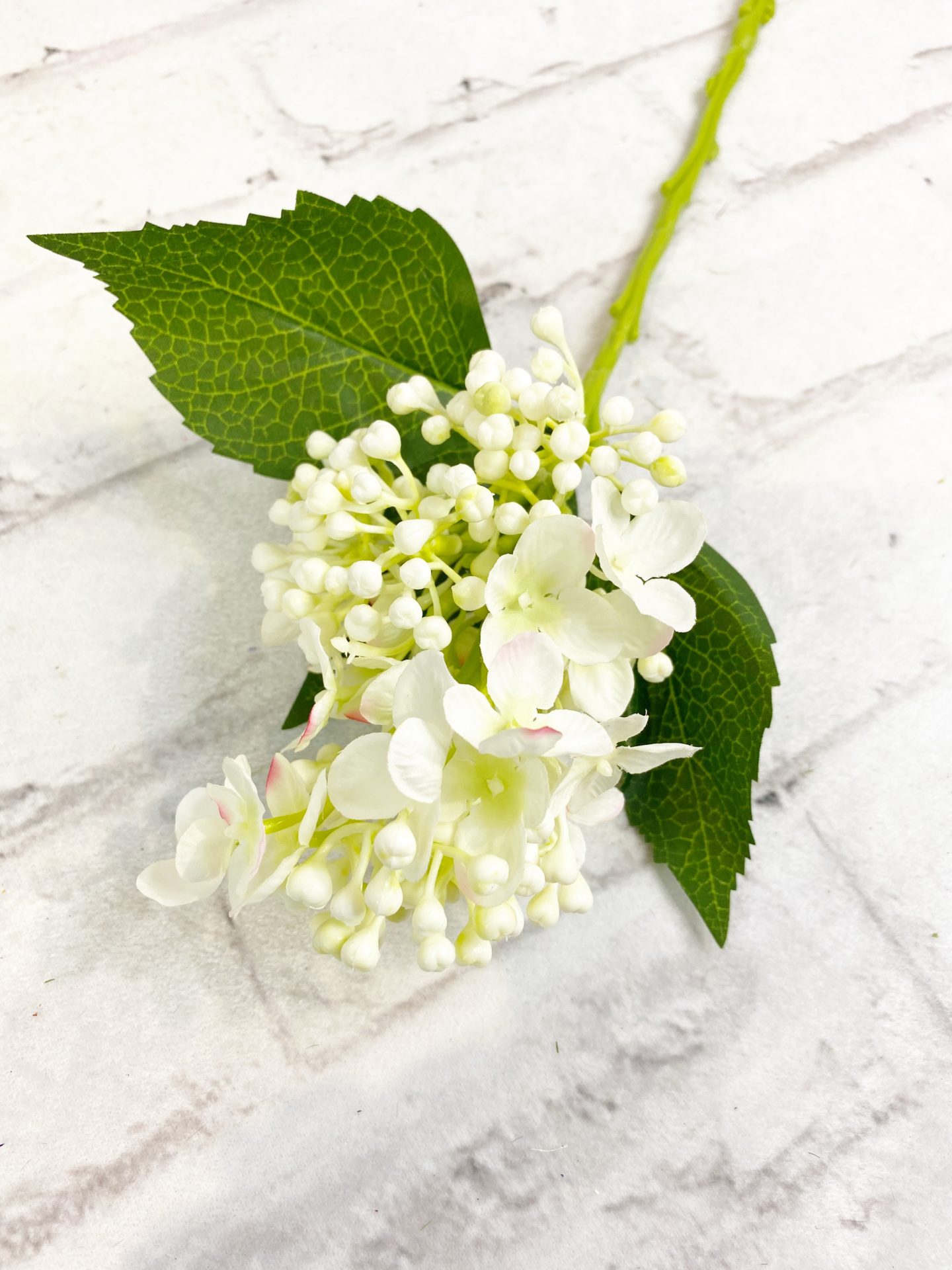 Cream Budding Hydrangea - Kelea's Florals