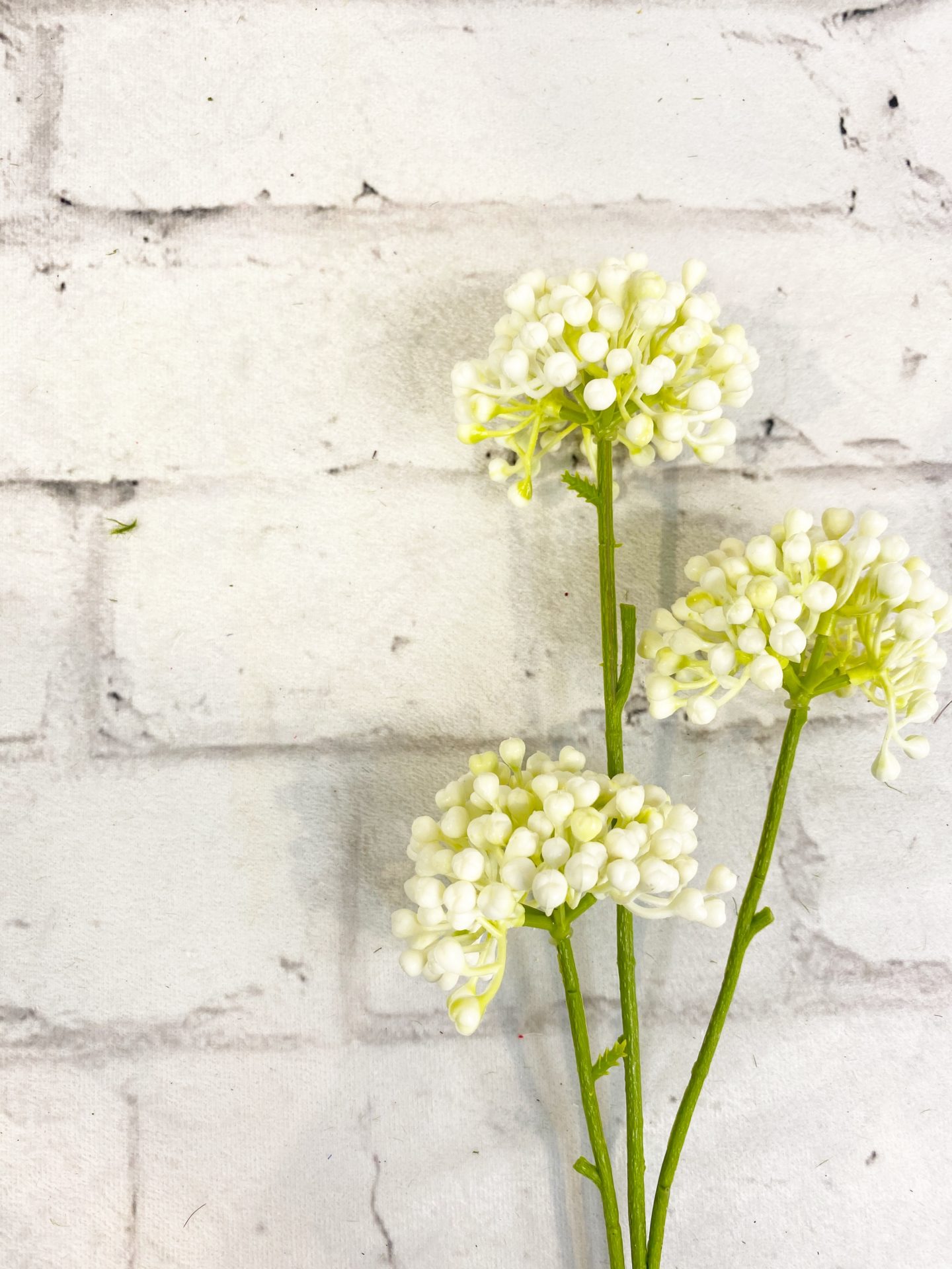 Cream Mini Allium Stem - Kelea's Florals
