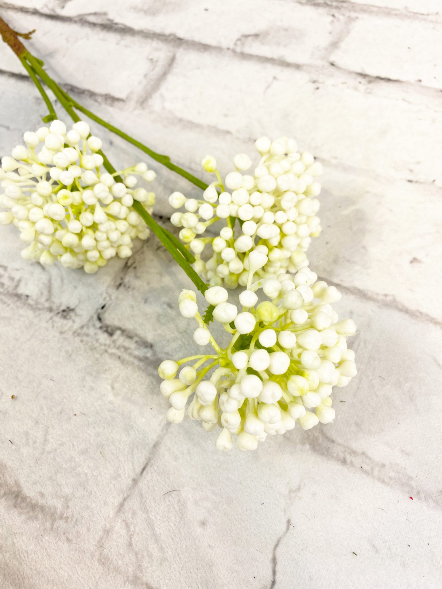 Cream Mini Allium Stem - Kelea's Florals