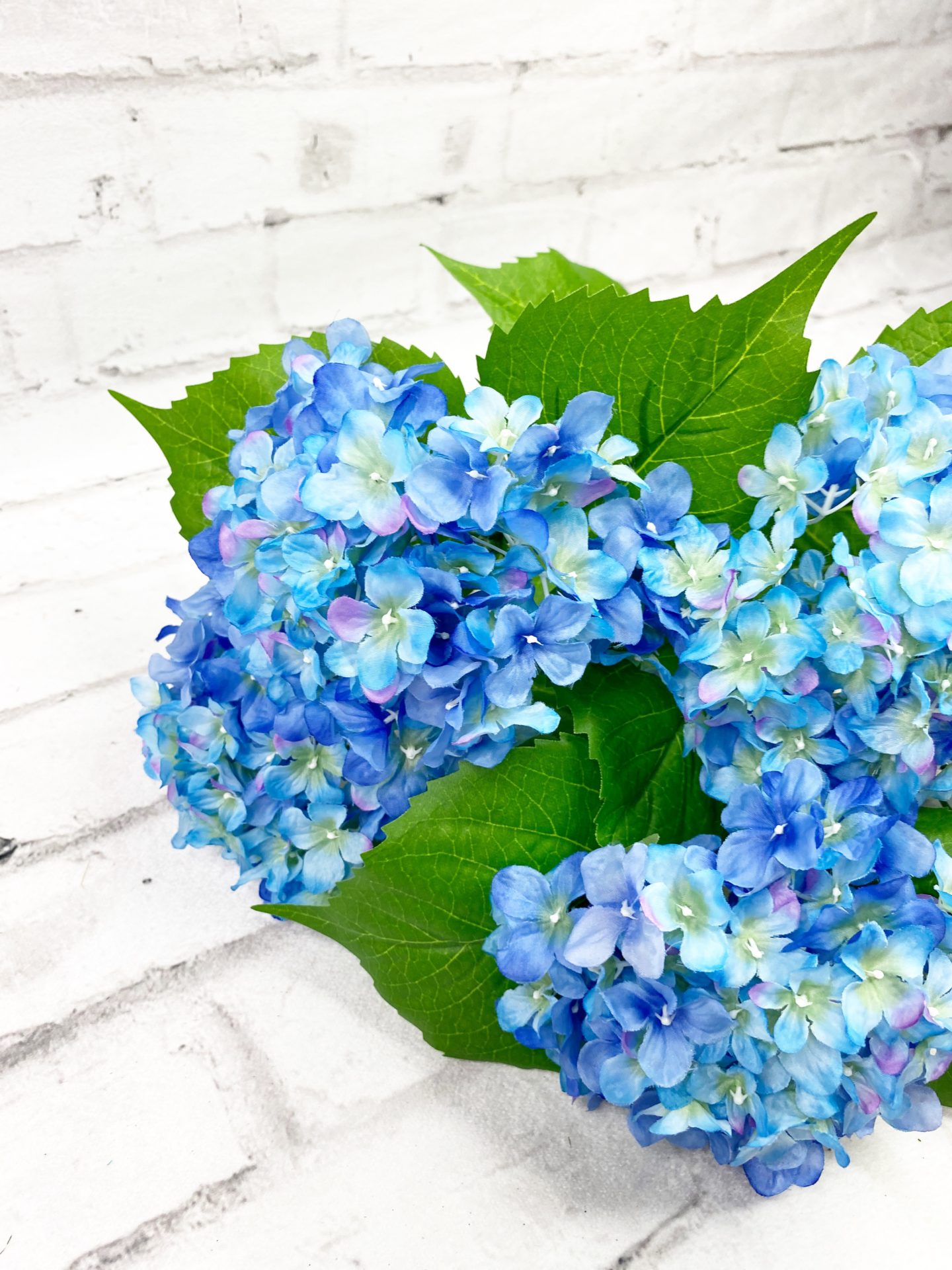 Blue Hydrangea Bush - Kelea's Florals