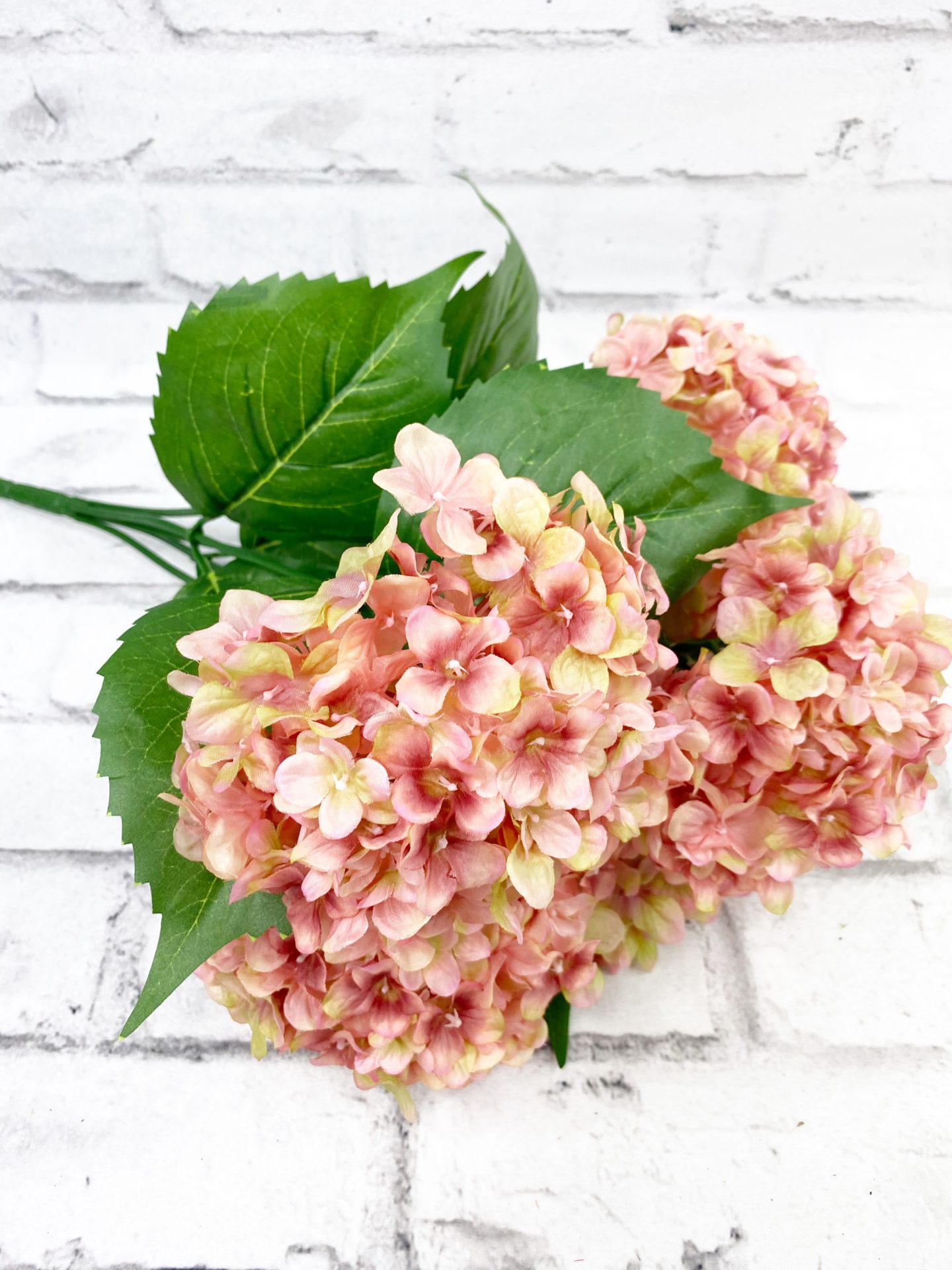 Mauve Hydrangea Bush - Kelea's Florals