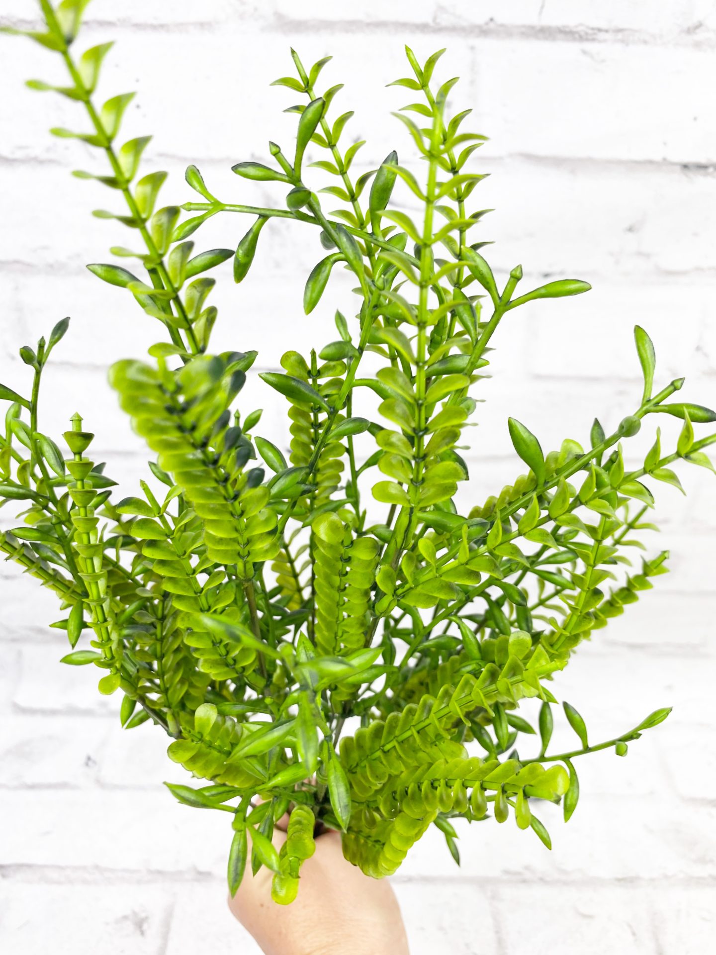 Green Plastic Button Leaf Bush - Kelea's Florals