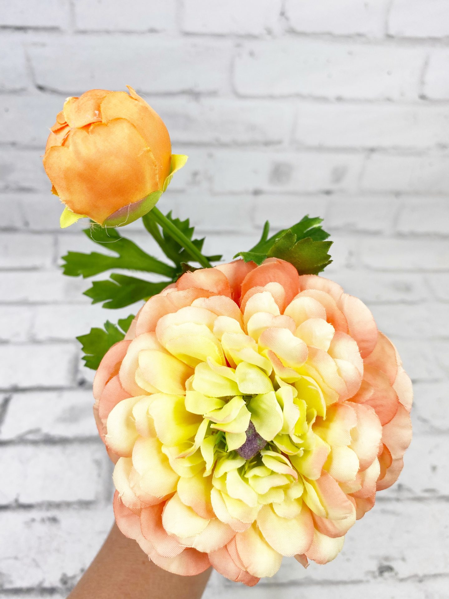 Coral German Ranunculus - Kelea's Florals