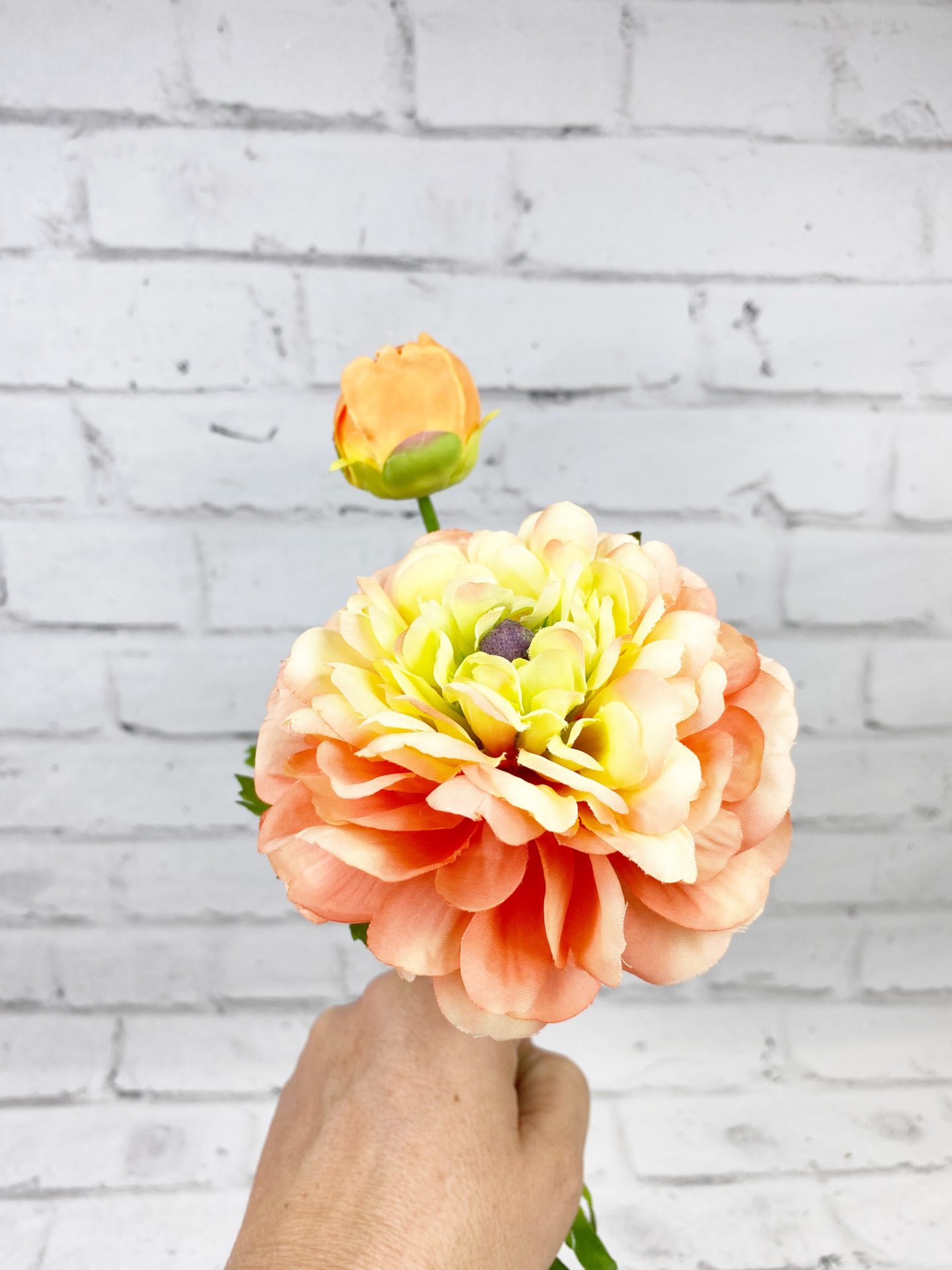 Coral German Ranunculus - Kelea's Florals