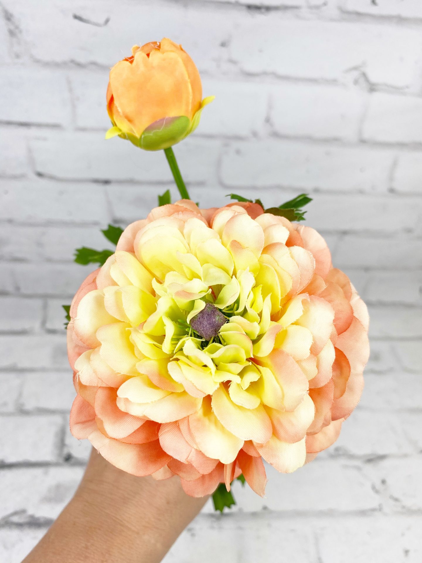 Coral German Ranunculus - Kelea's Florals