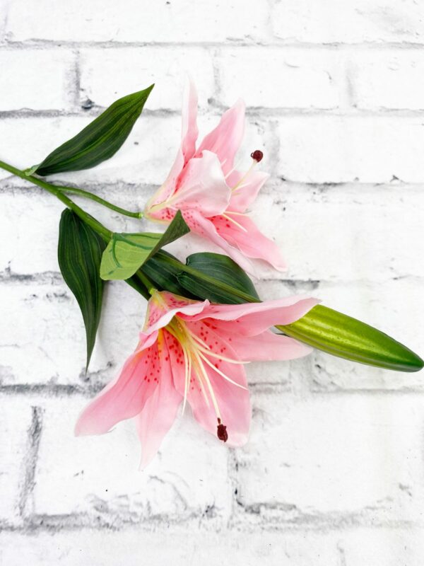 Pink Lily Stem - Kelea's Florals