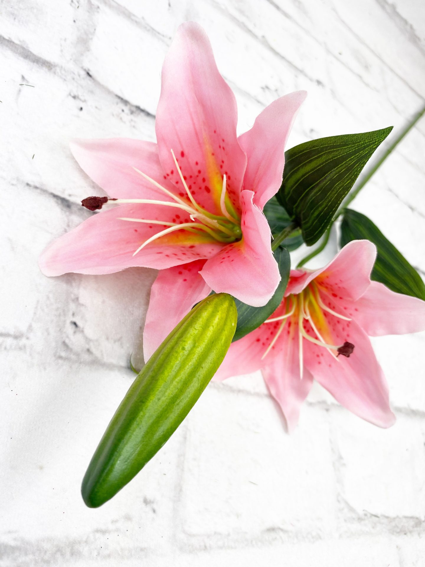 Pink Lily Stem - Kelea's Florals