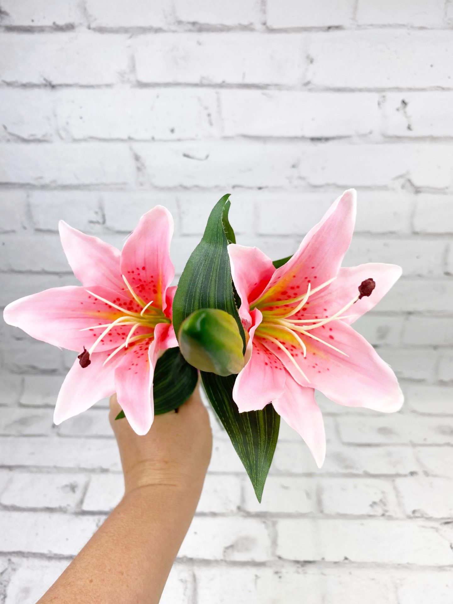Pink Lily Stem - Kelea's Florals