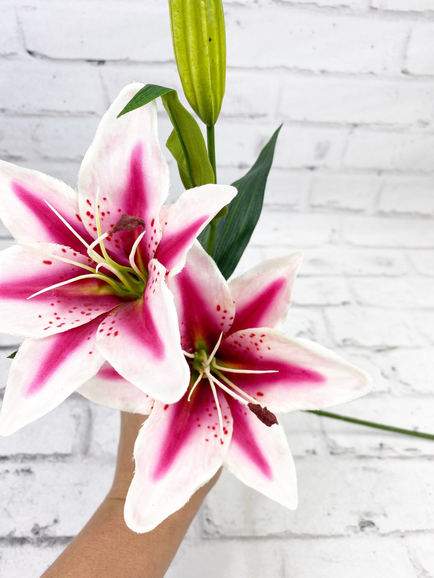 RU Lily Stem - Kelea's Florals