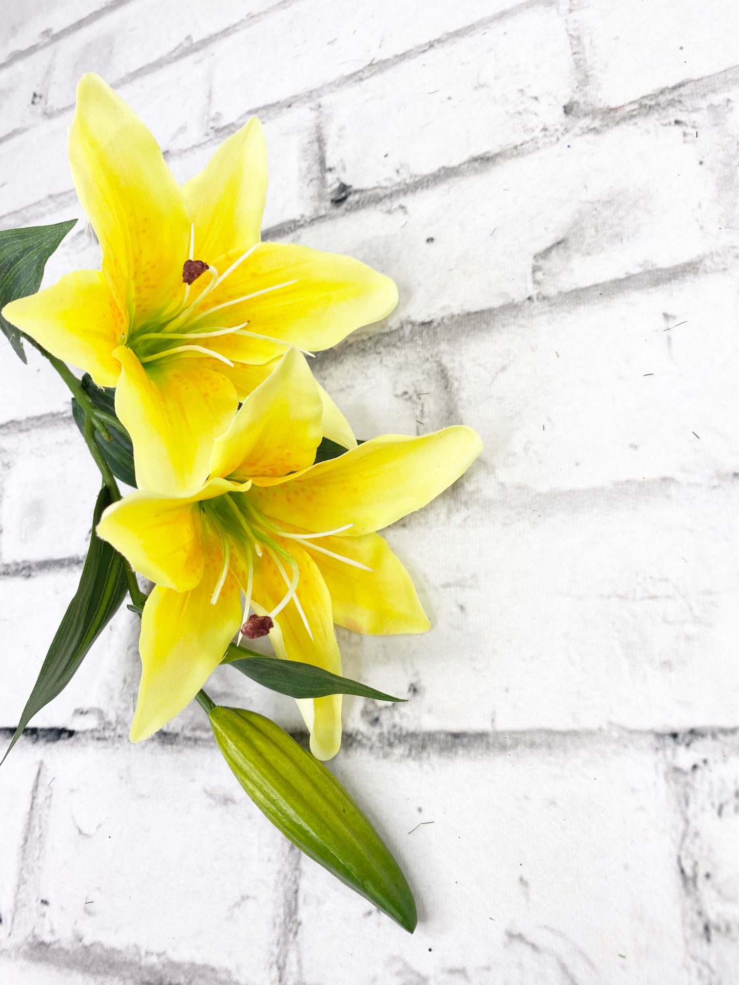 Yellow Lily Stem - Kelea's Florals