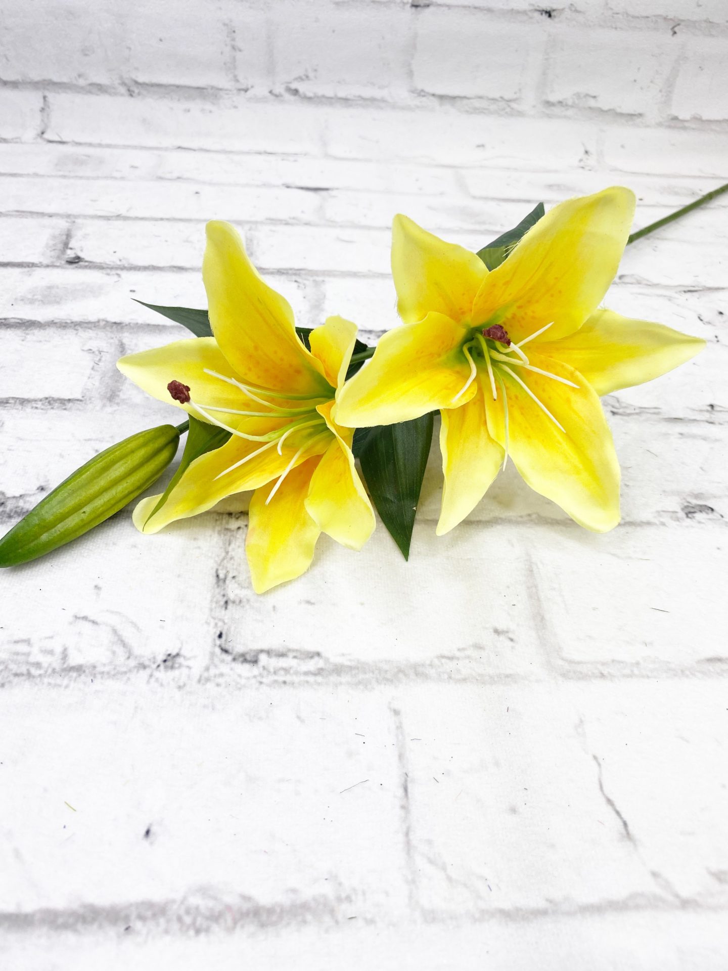 Yellow Lily Stem - Kelea's Florals