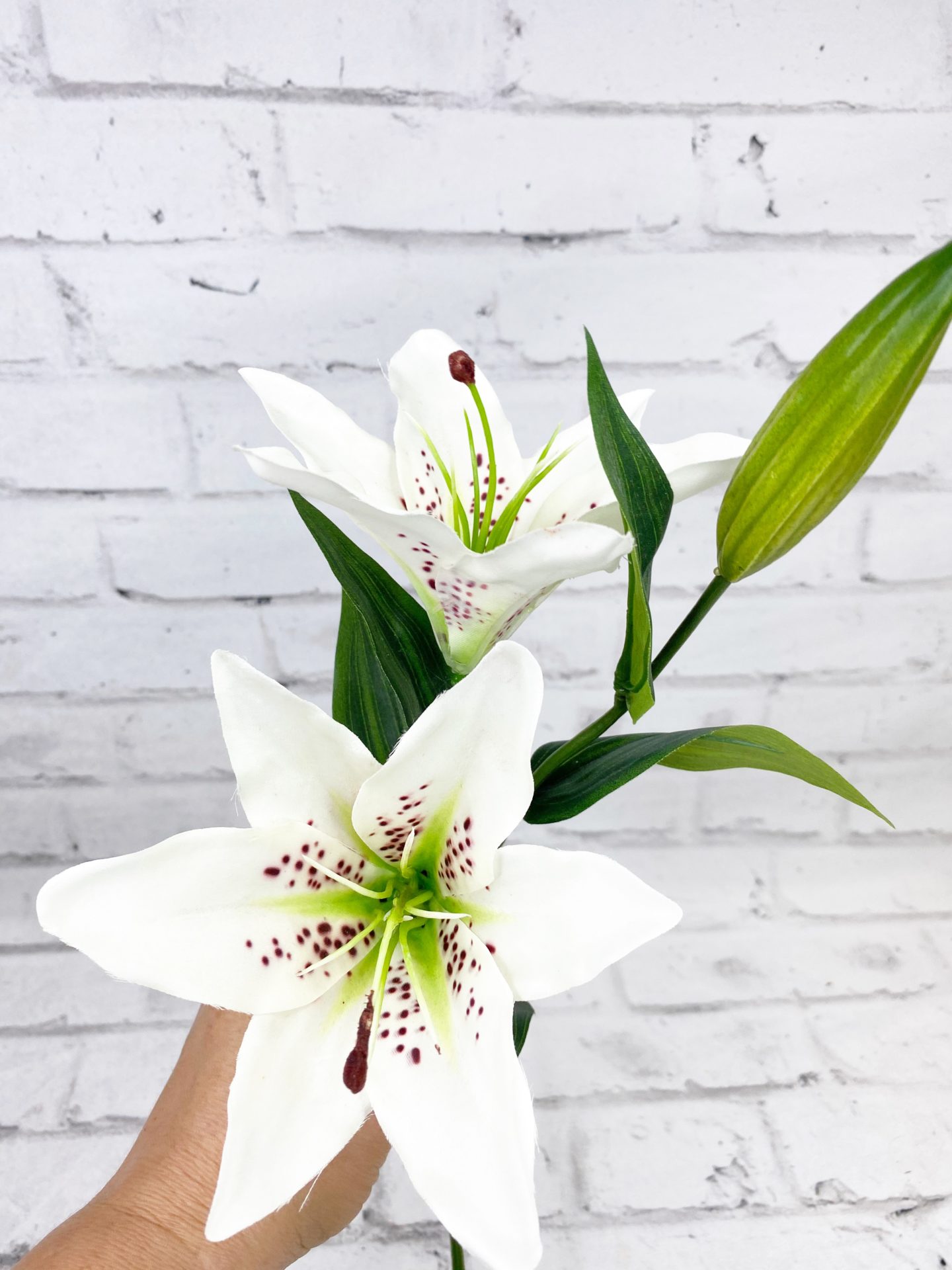 Cream Lily stem - Kelea's Florals
