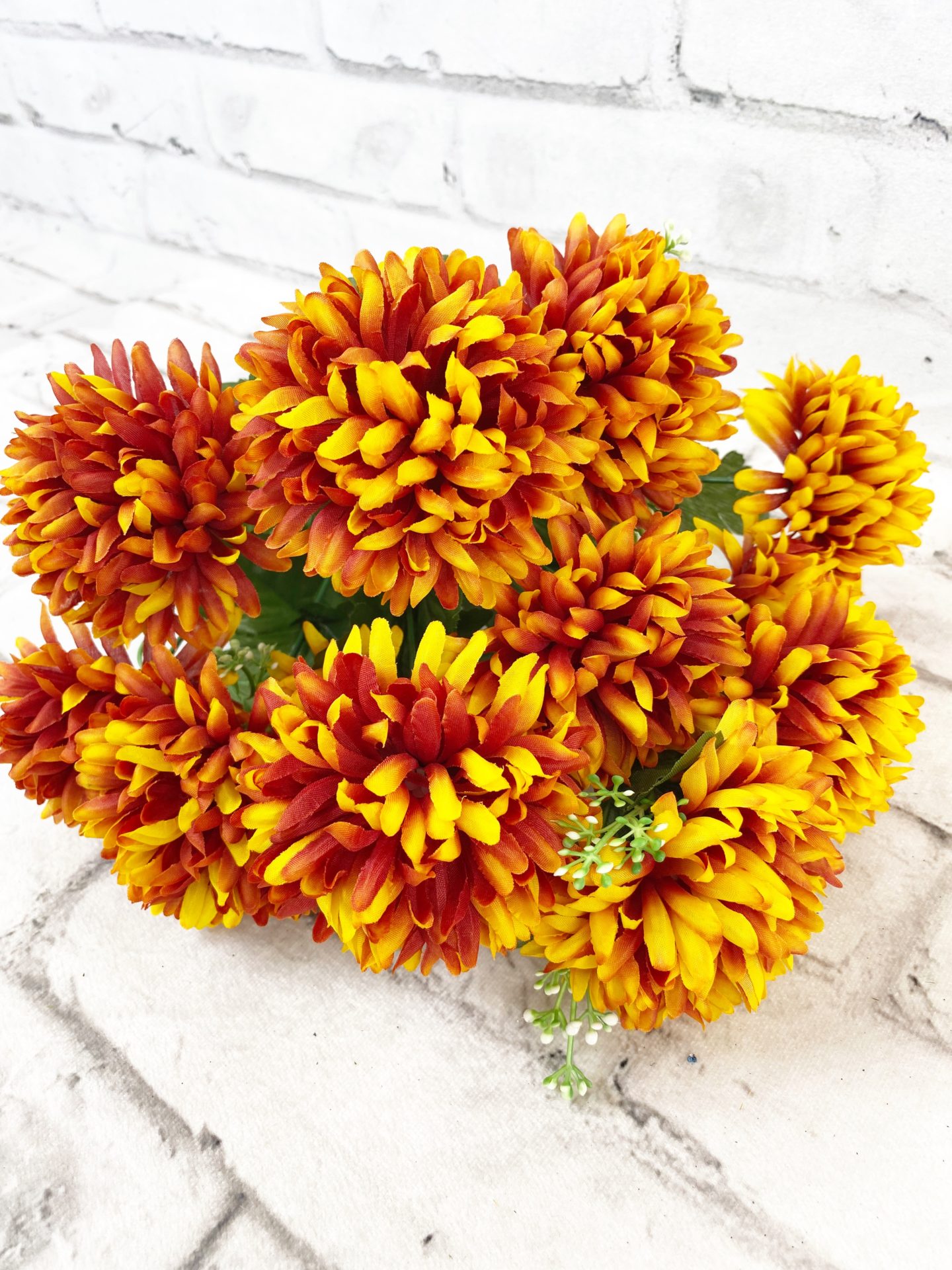 Rust Color Fall Ball Mum Bush - Kelea's Florals
