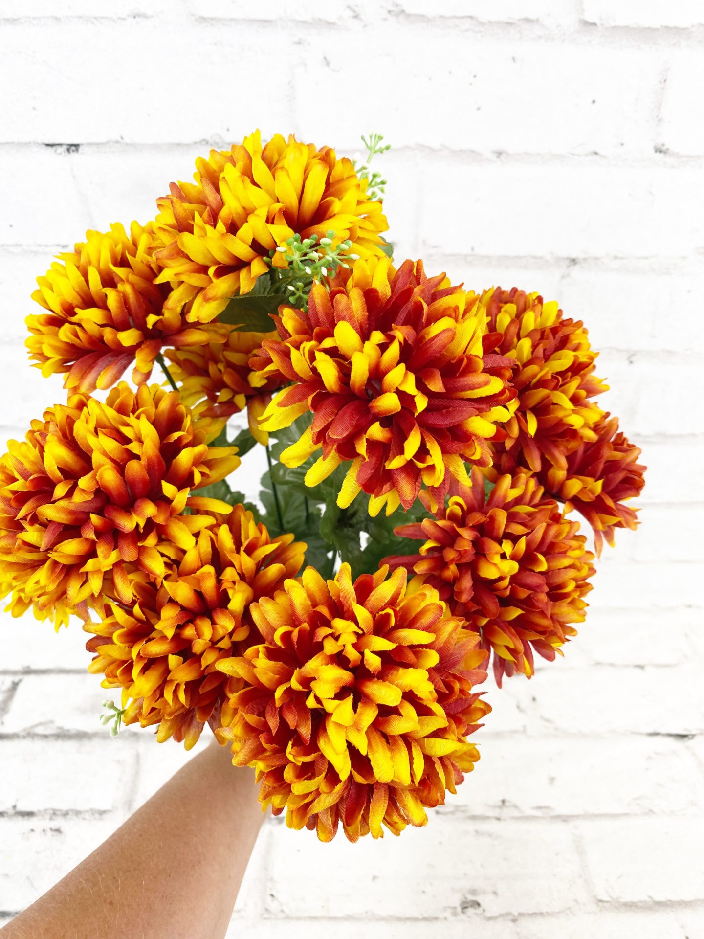 Rust Color Fall Ball Mum Bush - Kelea's Florals
