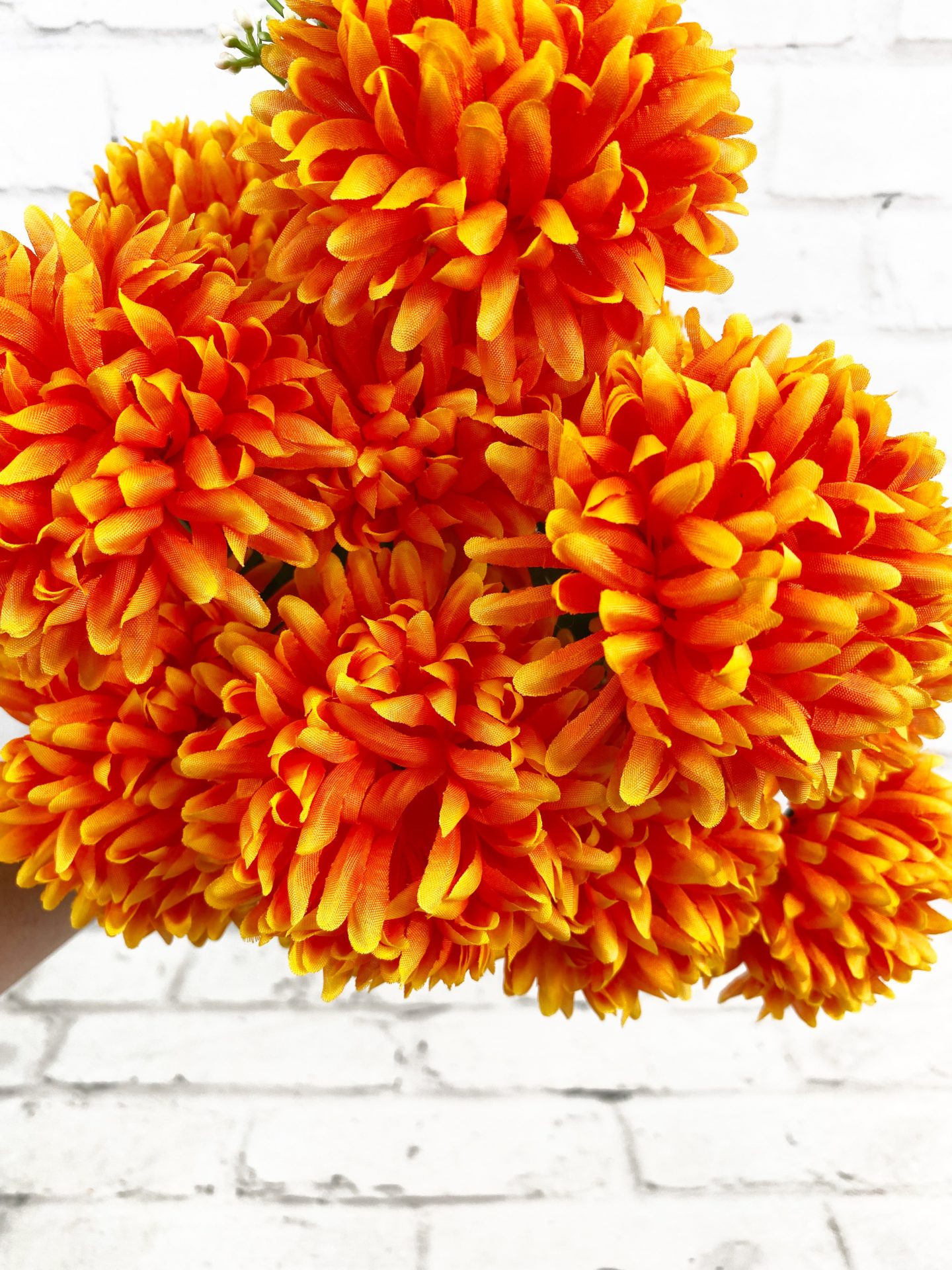 Orange Color Fall Ball Mum Bush - Kelea's Florals