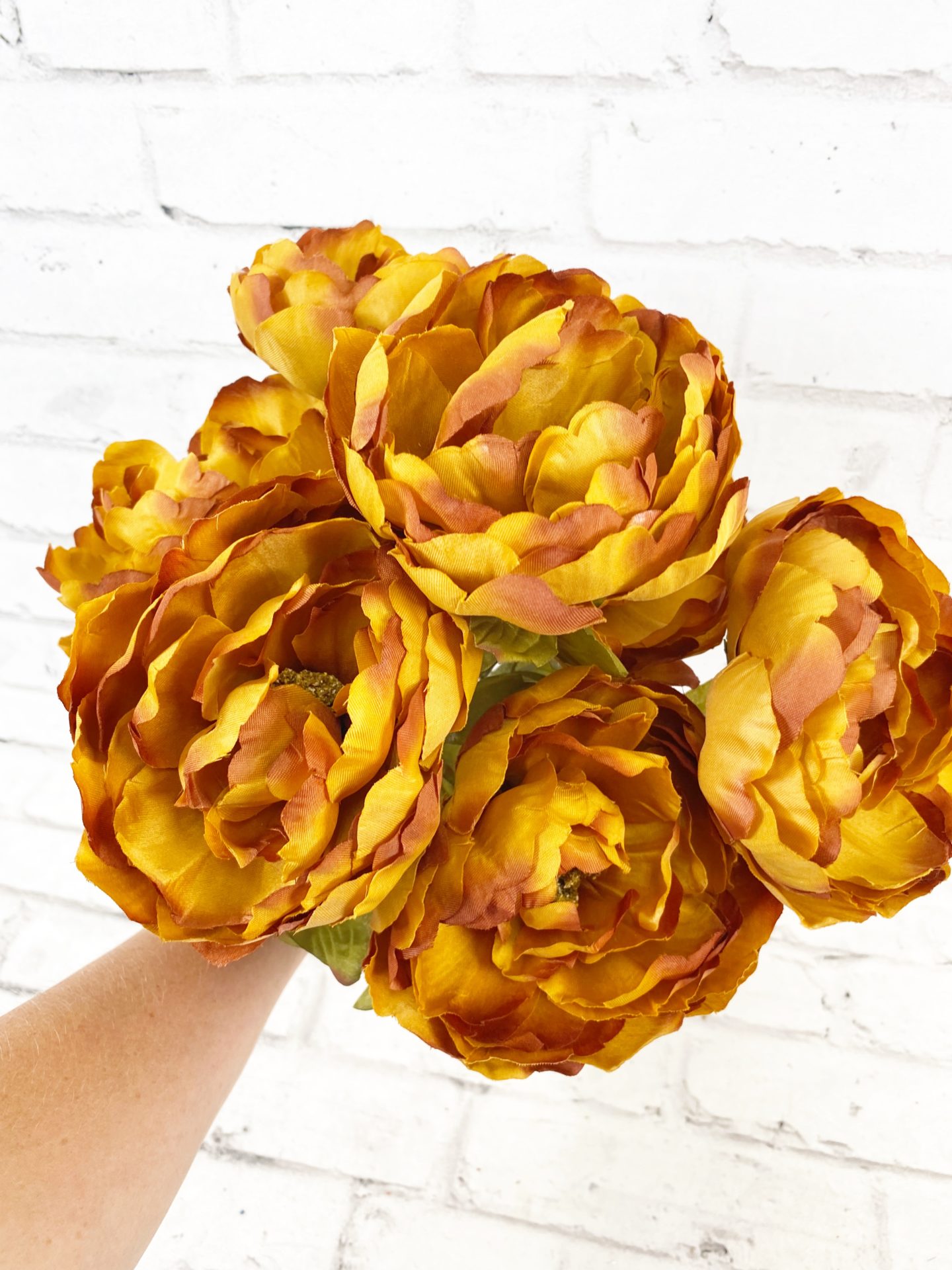 Rust Peony Bush - Kelea's Florals