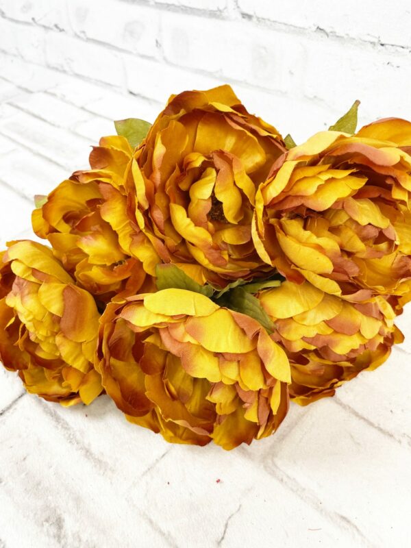 Rust Peony Bush - Kelea's Florals