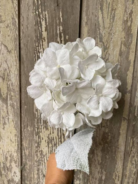 Cream Snow Single Hydrangea - Kelea's Florals