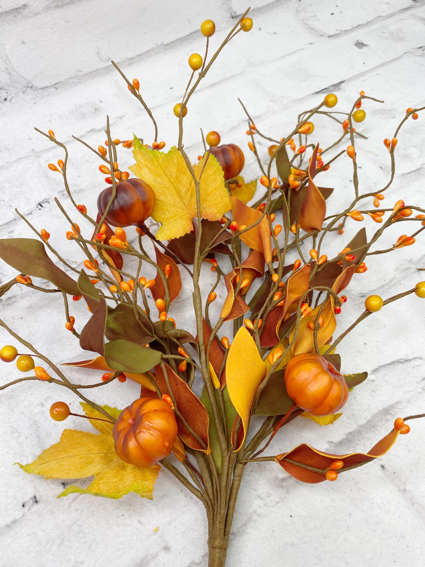 Mini Pumpkin Pip Berry Bush - Kelea's Florals