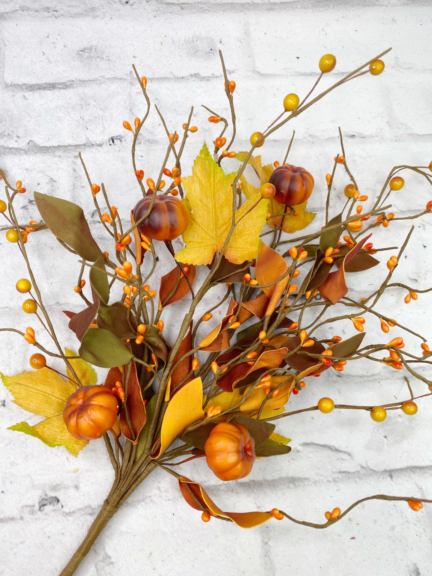 Mini Pumpkin Pip Berry Bush - Kelea's Florals