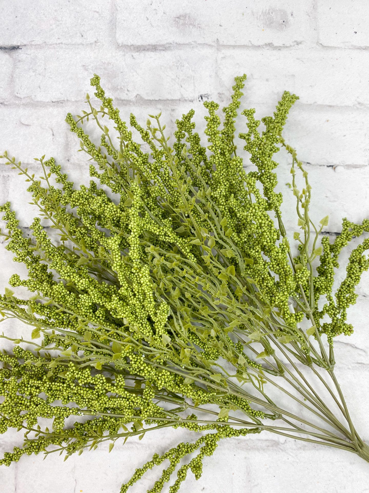 Green Erica Bush - Kelea's Florals