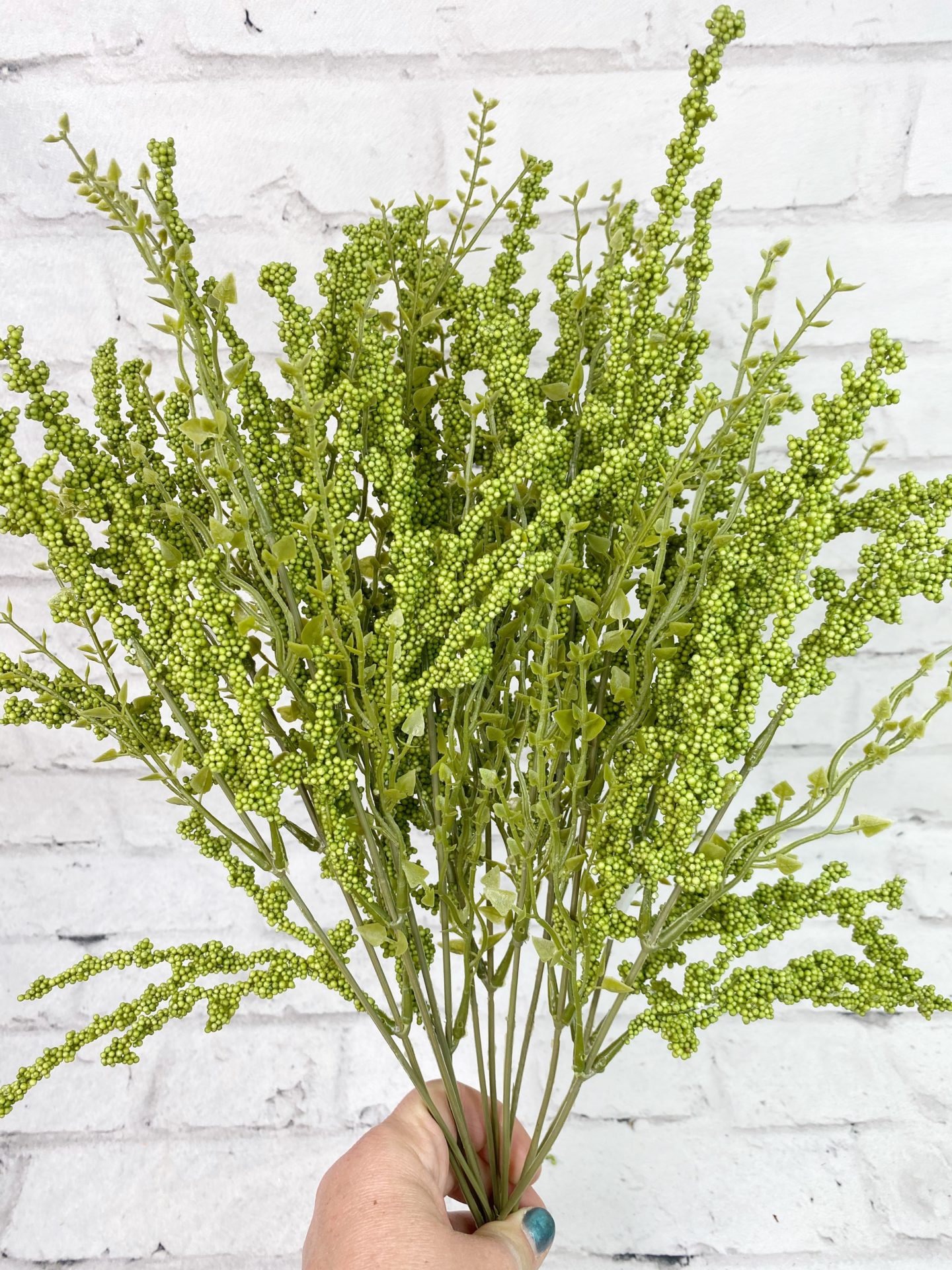 Green Erica Bush - Kelea's Florals