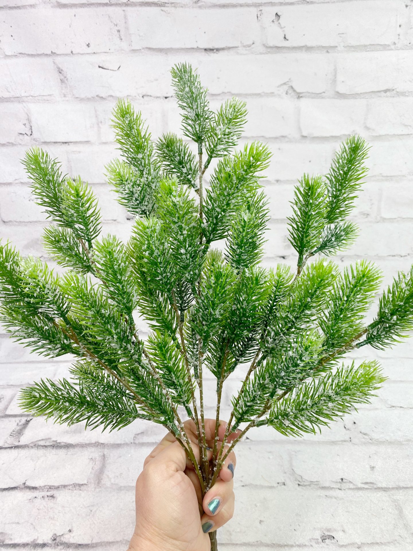 Iced Angel Pine Bush - Kelea's Florals