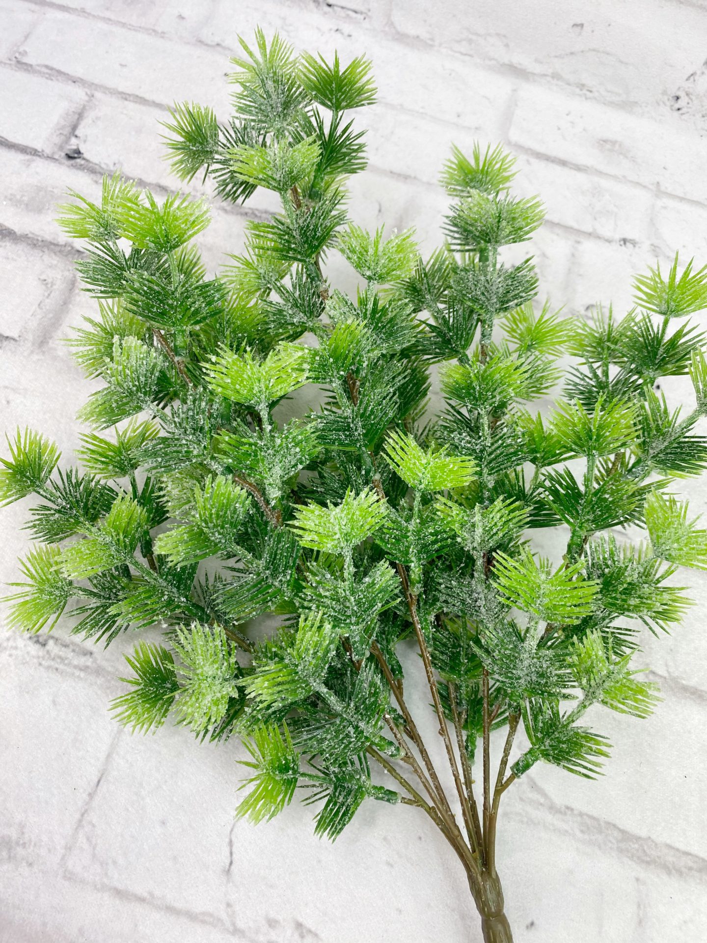Iced Japanese Pine Bush - Kelea's Florals