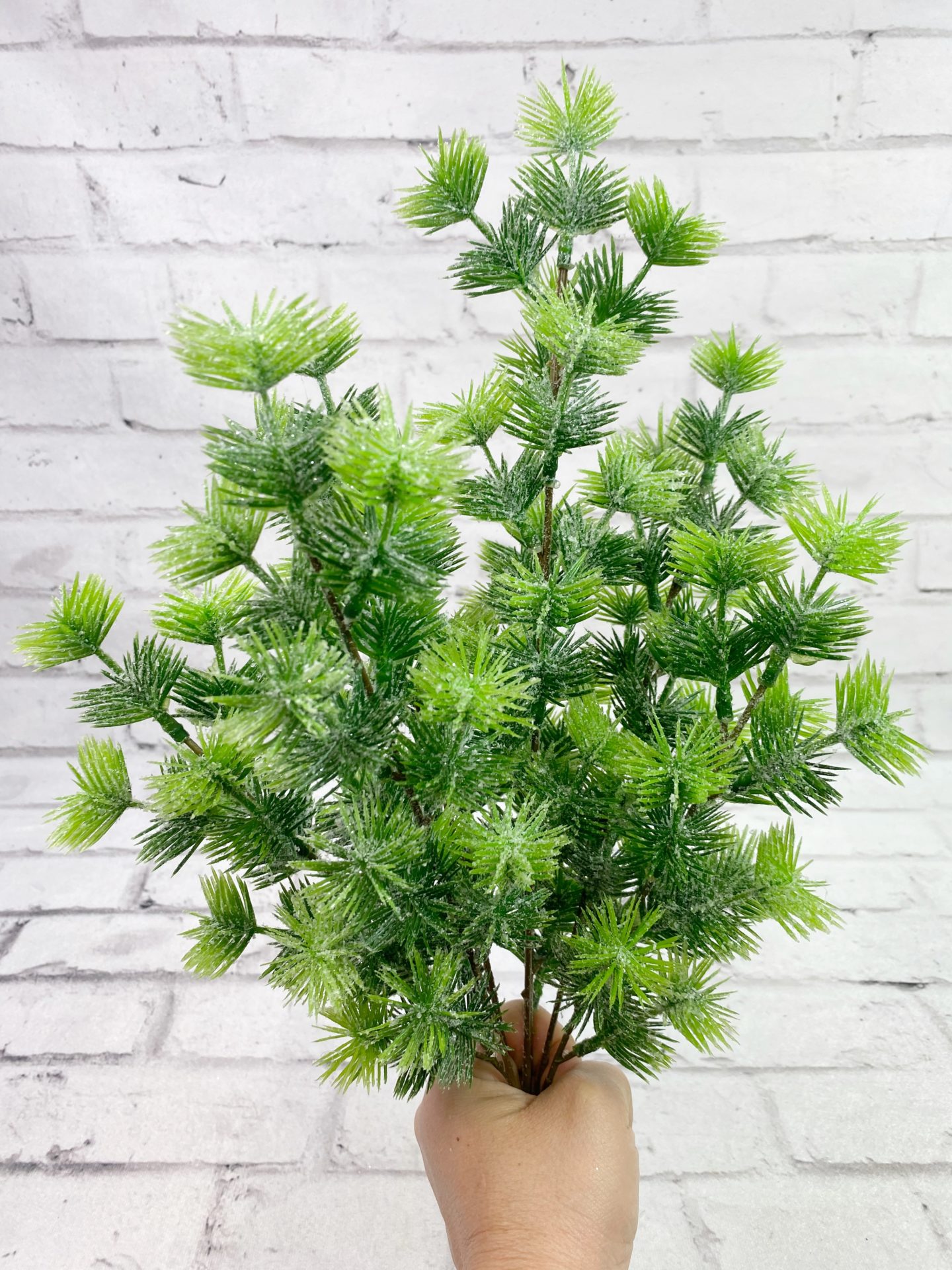 Iced Japanese Pine Bush - Kelea's Florals