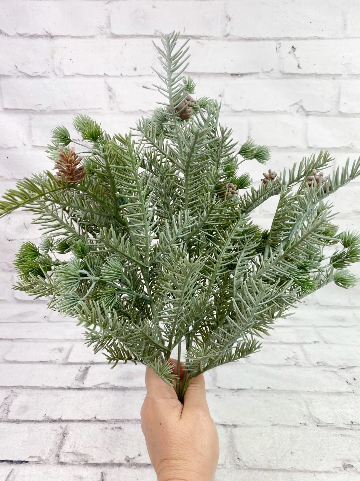 Mixed Pine Bush - Kelea's Florals