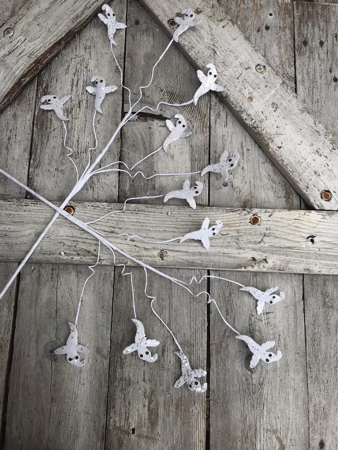 Mini Ghost Stem - Kelea's Florals