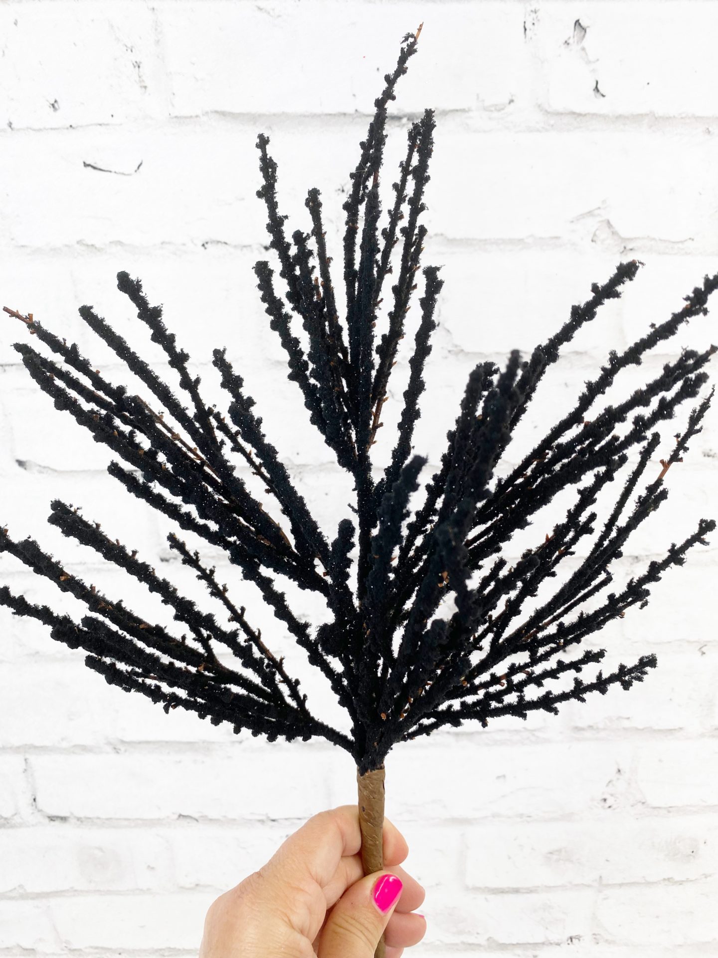 Black Flocked Pine Pick - Kelea's Florals