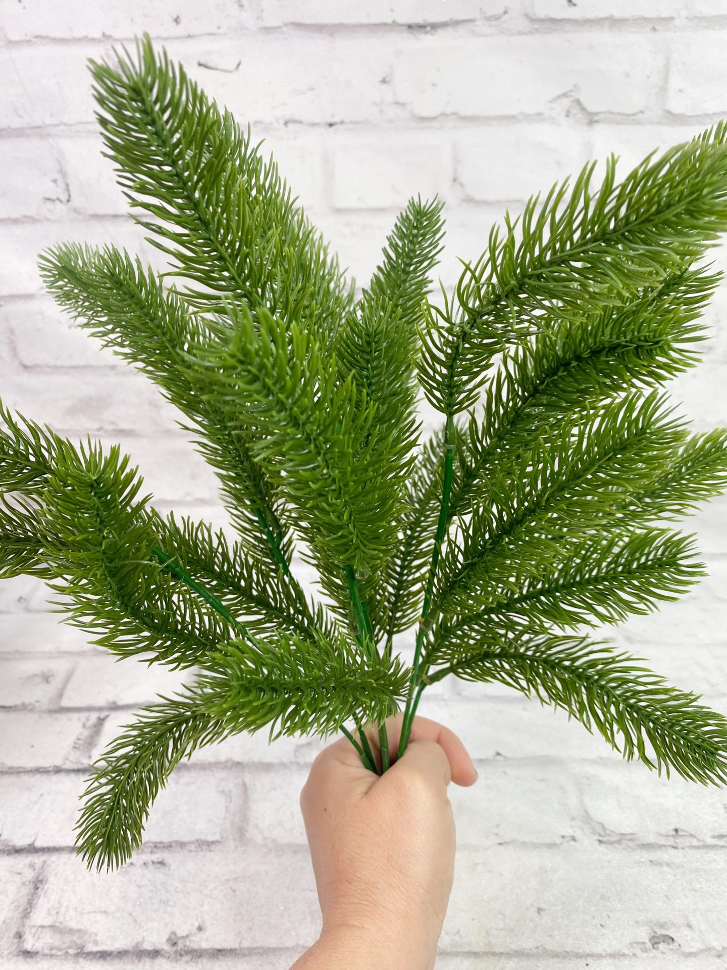 Angel Pine Bush - Kelea's Florals