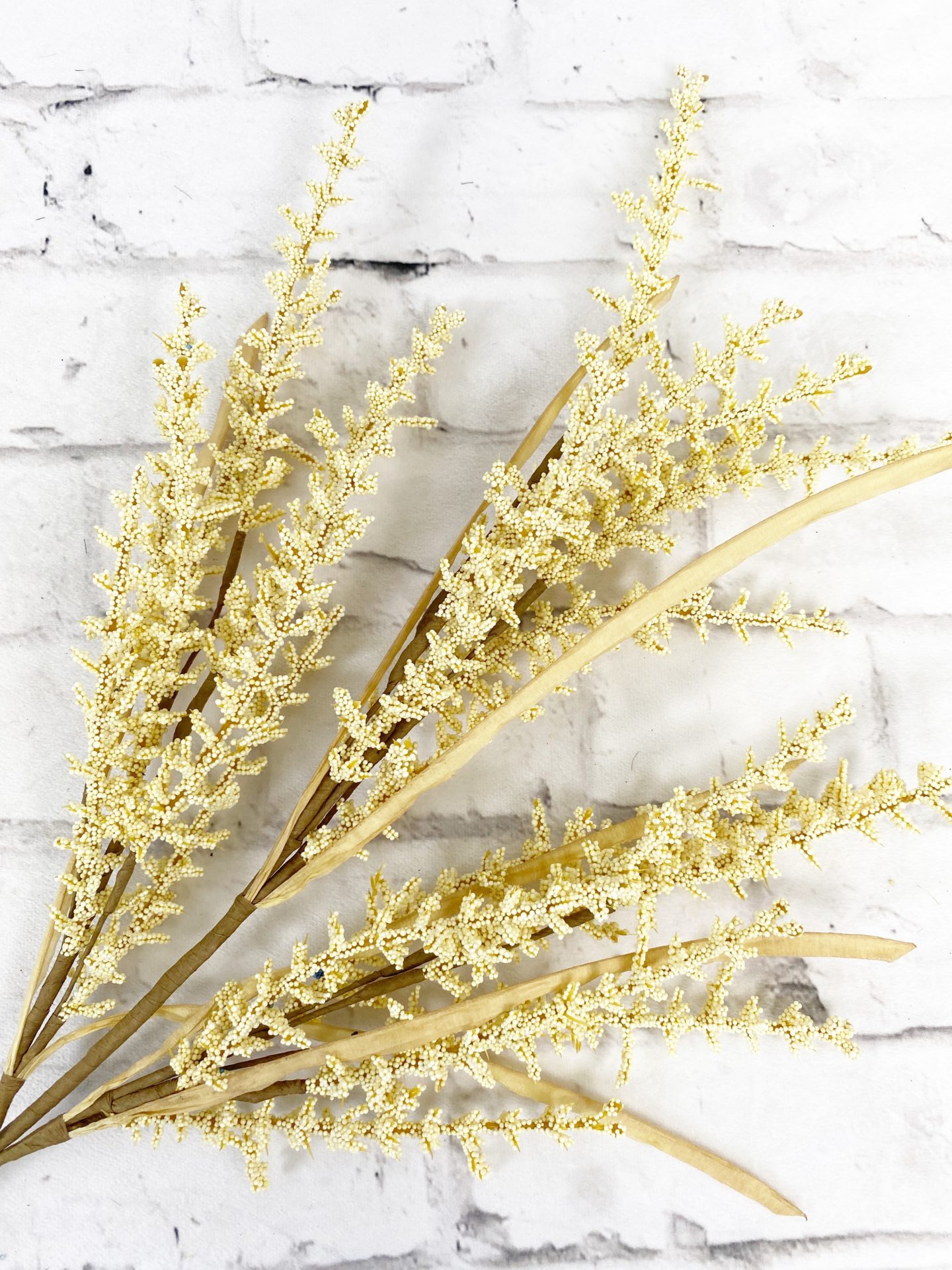 Cream Feather Reed Grass Spray - Kelea's Florals