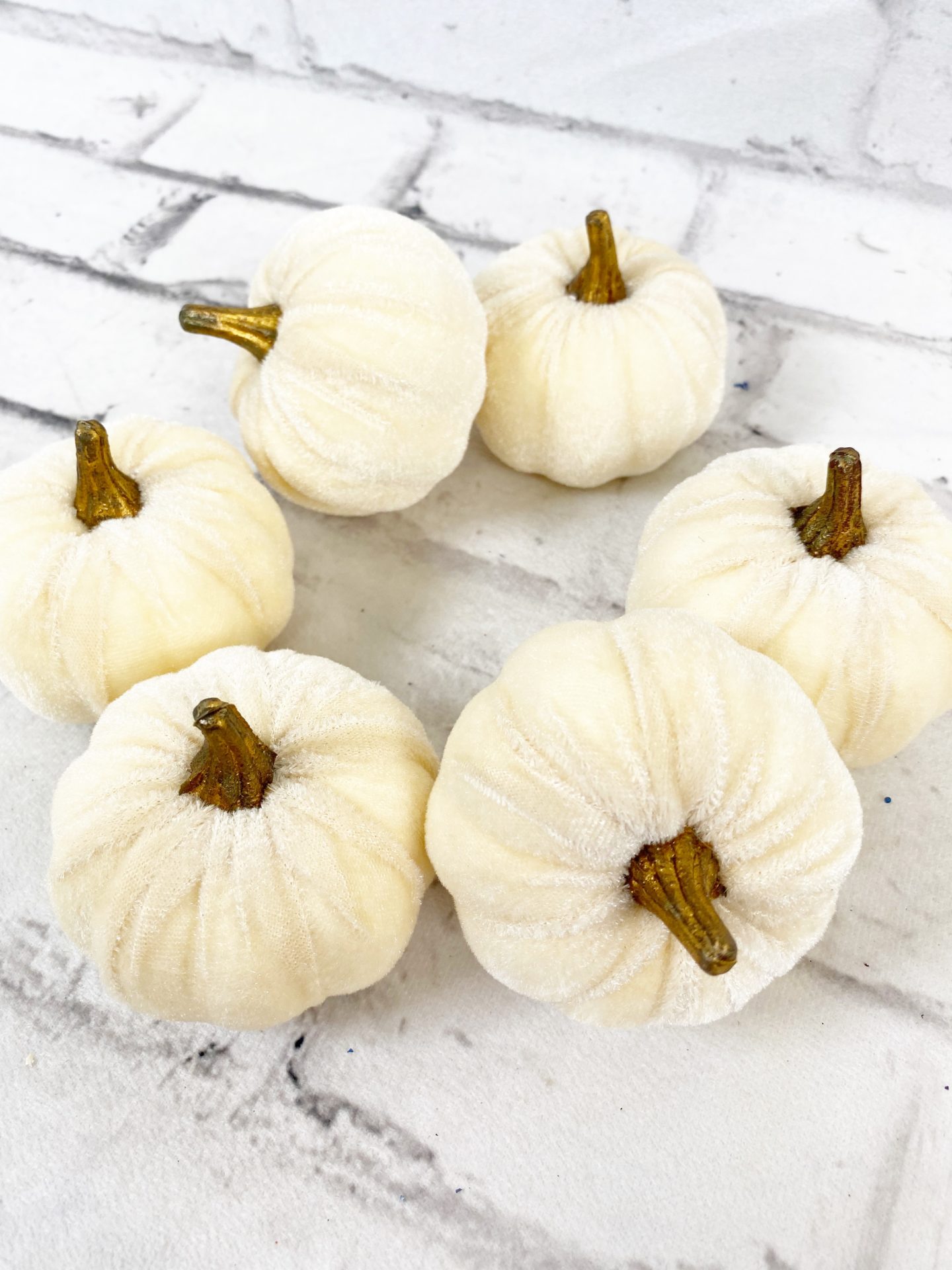 Cream Pumpkin - Kelea's Florals