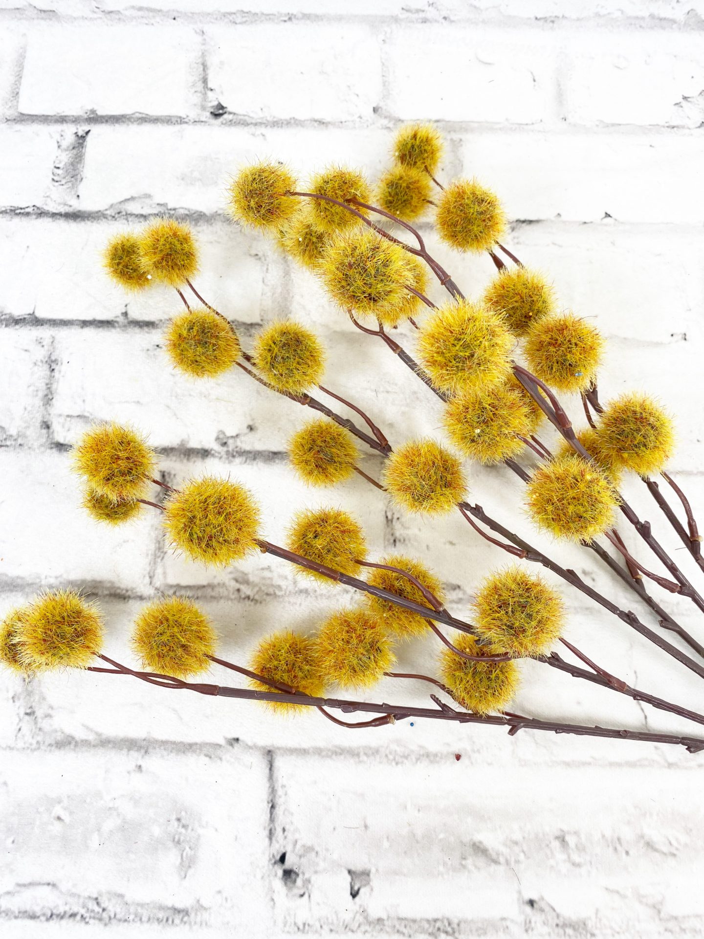 Yellow Pom Pom Bush - Kelea's Florals