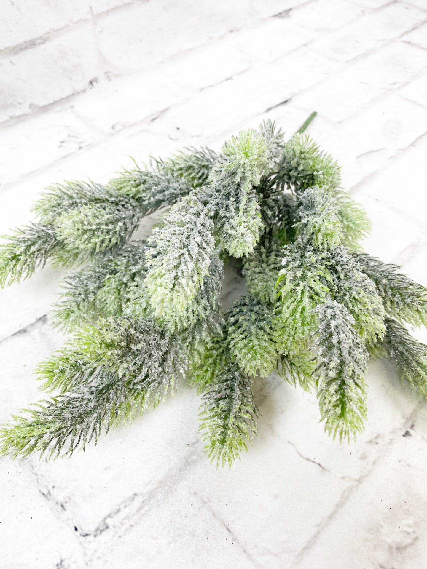 Frosted Noble Fir Bush - Kelea's Florals