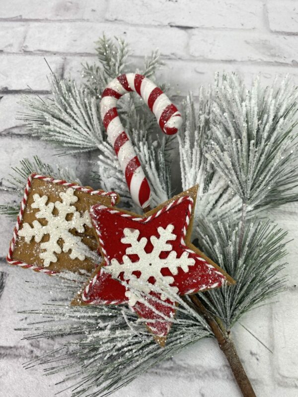 Snow Pine and Candy Cane Stem - Kelea's Florals