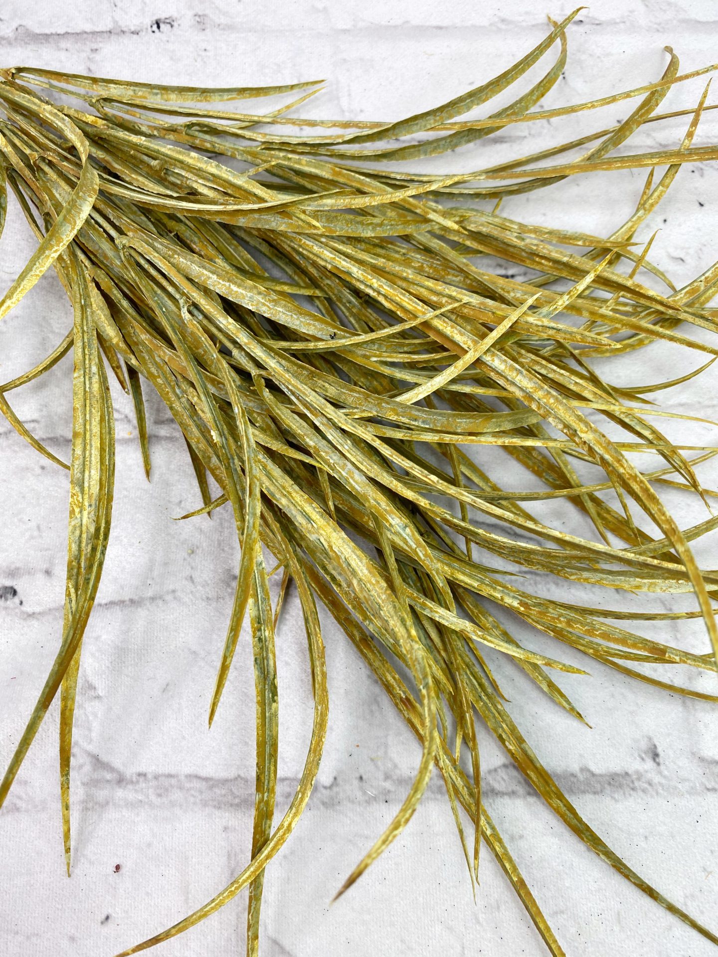 Autumn Sword Grass Bush - Kelea's Florals