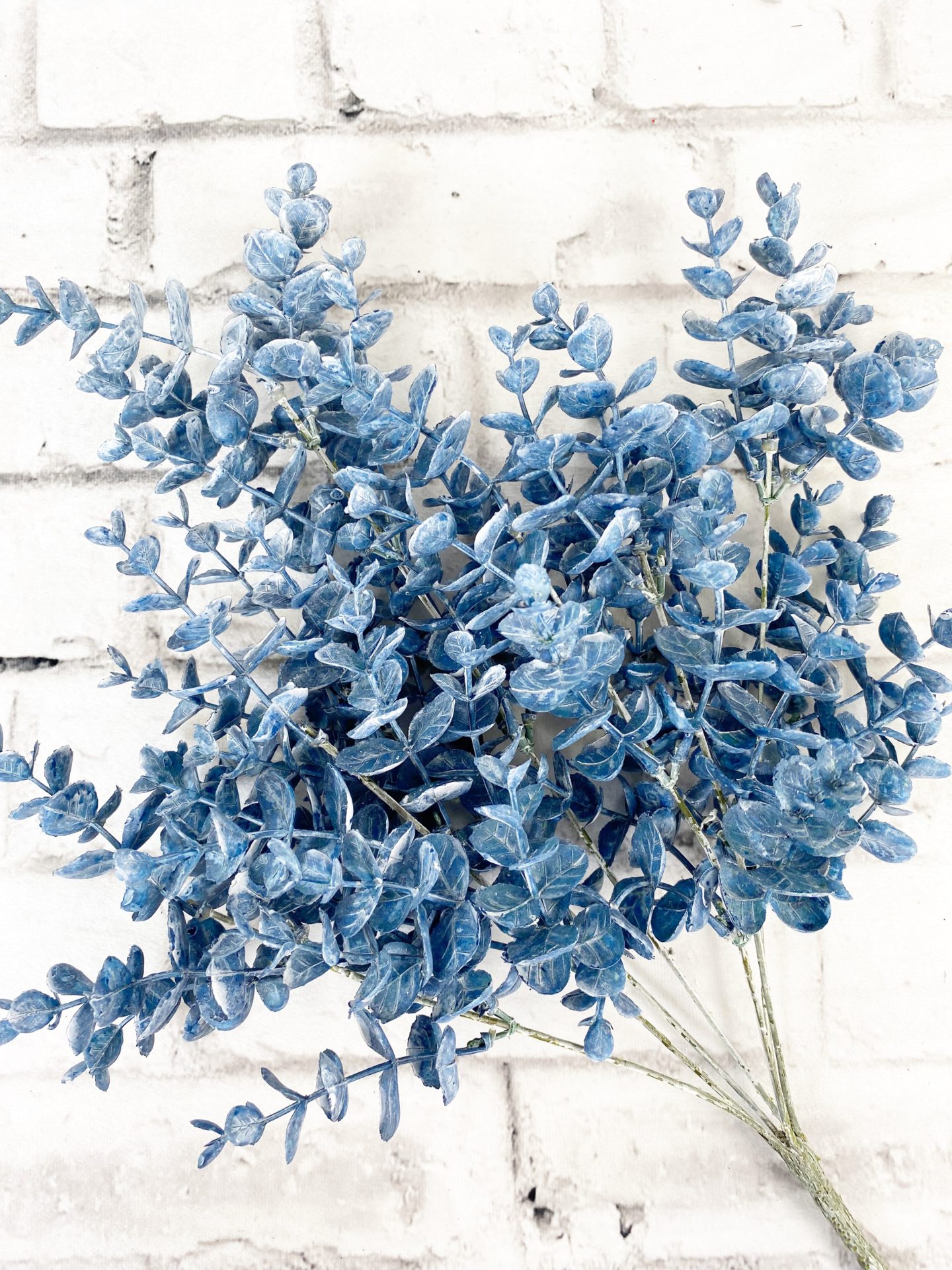 Blue Eucalyptus Bush - Kelea's Florals